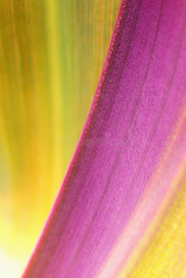 Organic Plant Background stock image. Image of close - 11663217