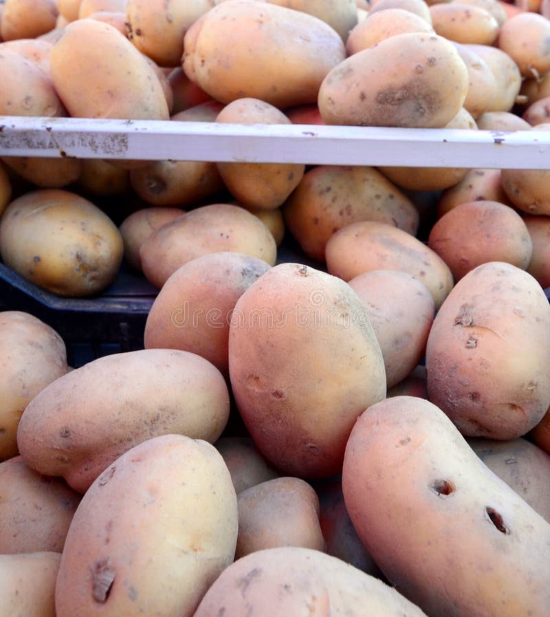 Organic potatoes stock image. Image of natural, organic - 57987549