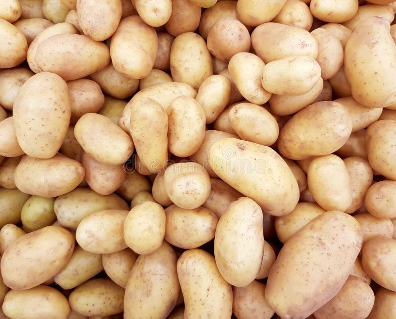 Organic Potatoes, Vegetable Food Background Stock Image - Image of ...