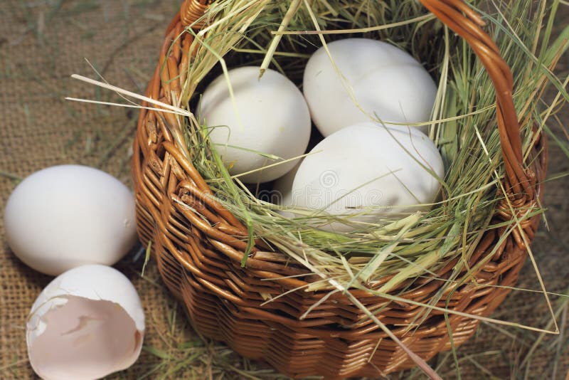 Organic products stock photo. Image of products, chicken - 60837486