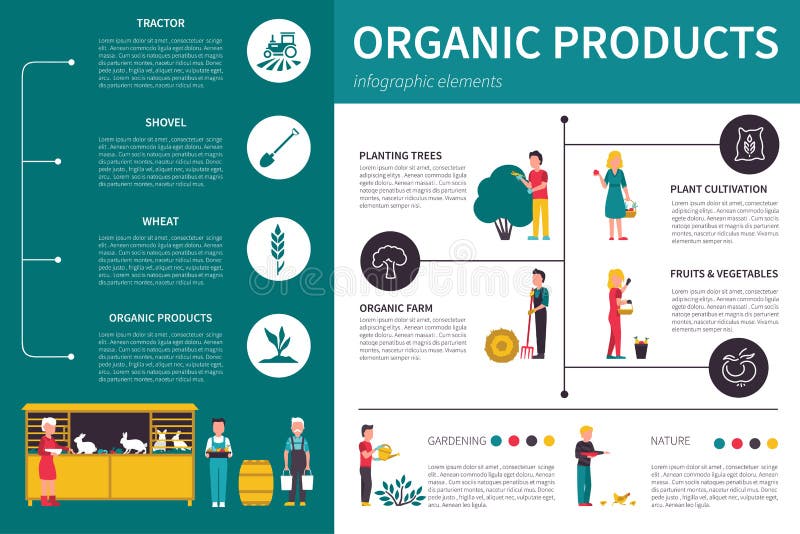 Organic Farming And Clean Food Healthy Infographic. Stock Vector ...