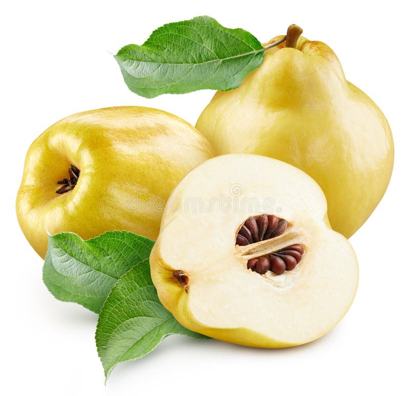 Organic Quince Isolated on White Background Stock Image - Image of ...