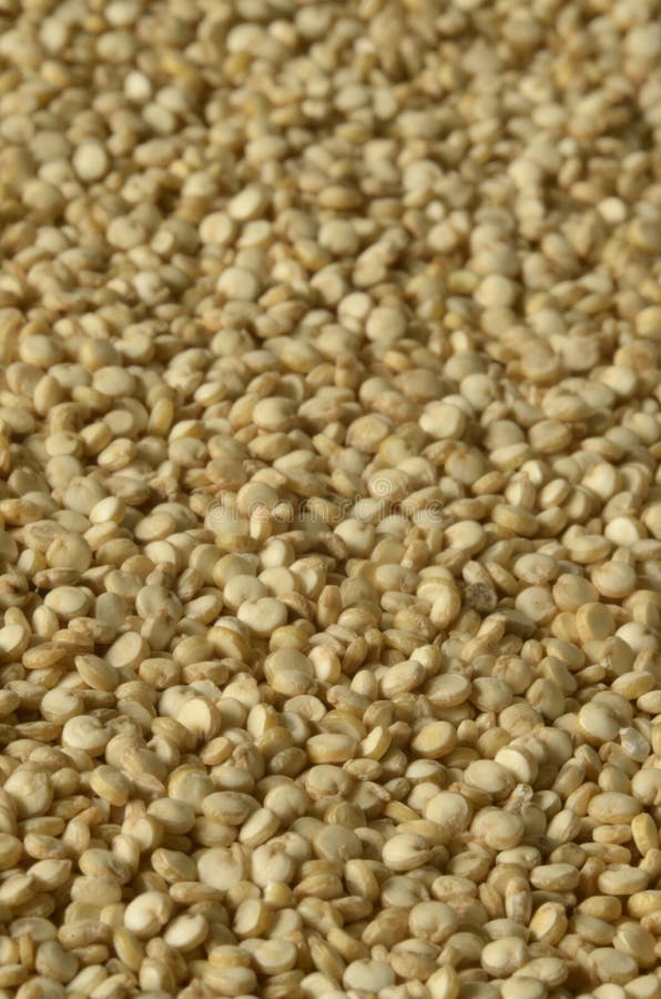 Organic Quinoa Seeds Macro Background Texture Stock Image - Image of ...