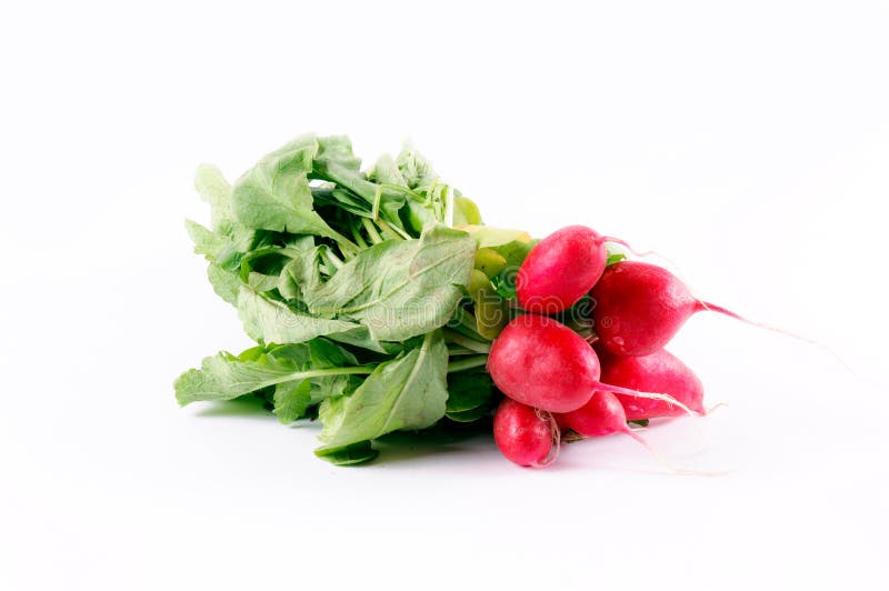 Organic Radishes stock image. Image of organic, bunch - 24632279