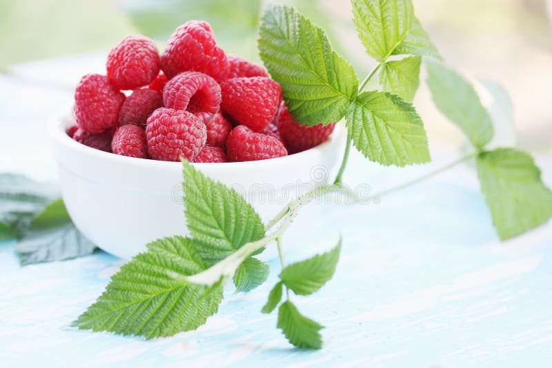 Organic raspberry stock image. Image of horizontal, ingredient - 51394567