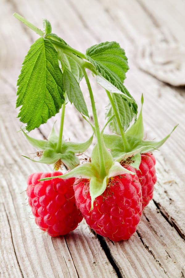 Organic raspberry stock image. Image of ingredient, selective - 34307681