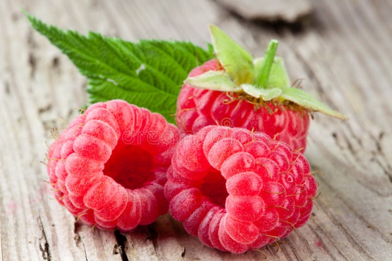 Organic raspberry stock image. Image of food, fruit, biofood - 37773007