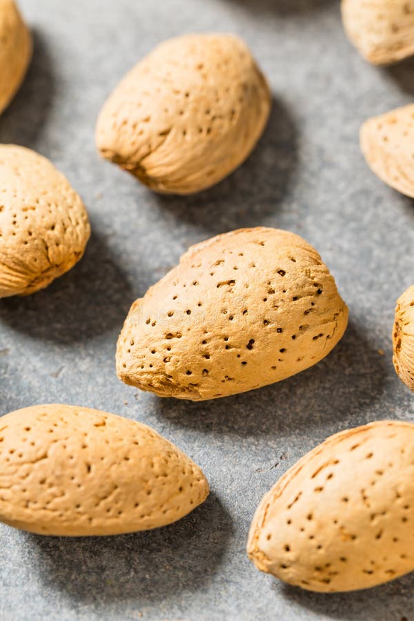 Organic Raw Almond Nuts stock image. Image of diet, nutrition - 379736405