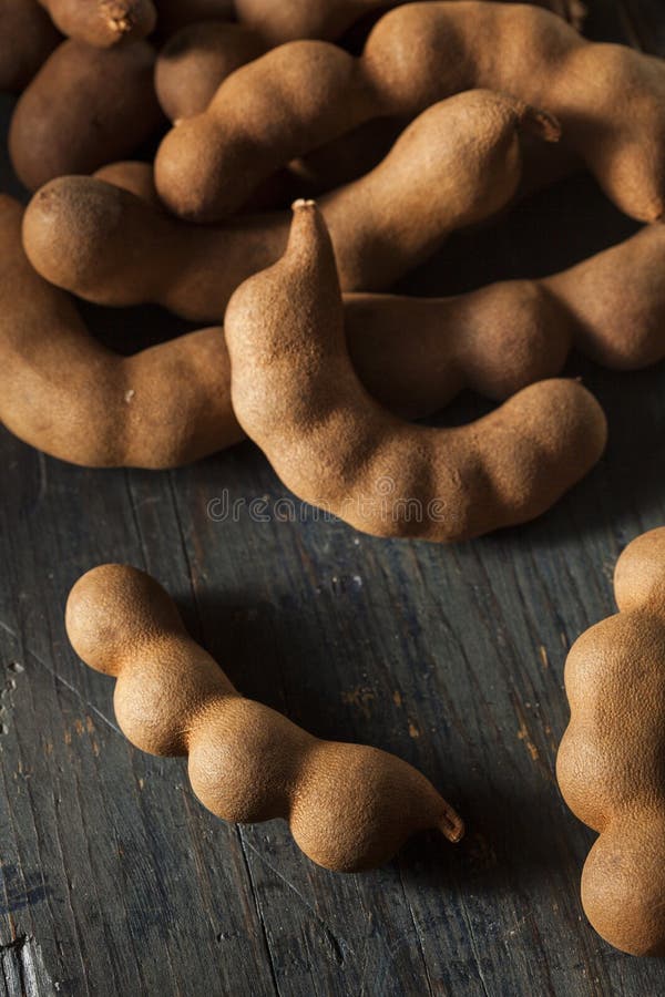 Organic Raw Brown Tamarind stock photo. Image of sweet - 48749492