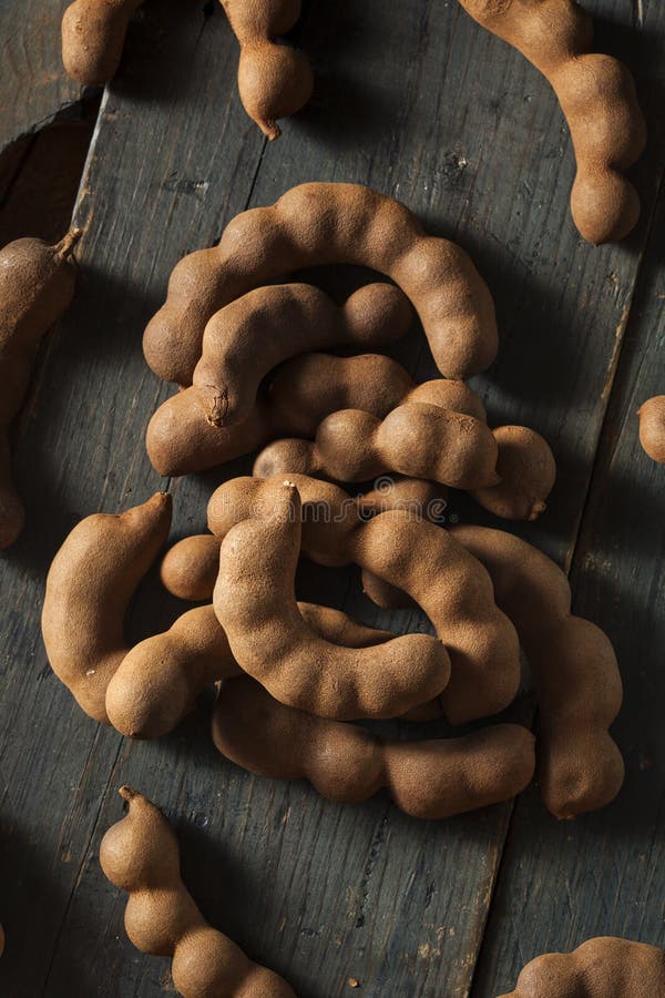 Organic Raw Brown Tamarind stock photo. Image of tamarindus - 48749536
