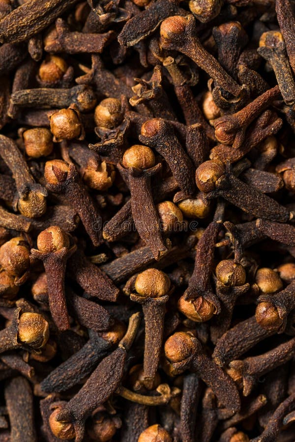 Organic Raw Brown Whole Cloves Stock Image - Image of herbal, seed ...