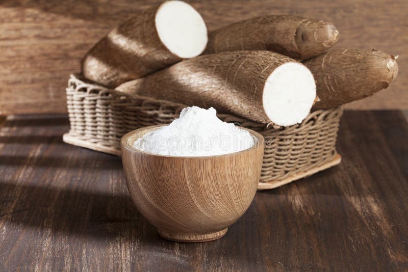 Organic Raw Cassava Root Starch - Manihot Esculenta Stock Image - Image ...