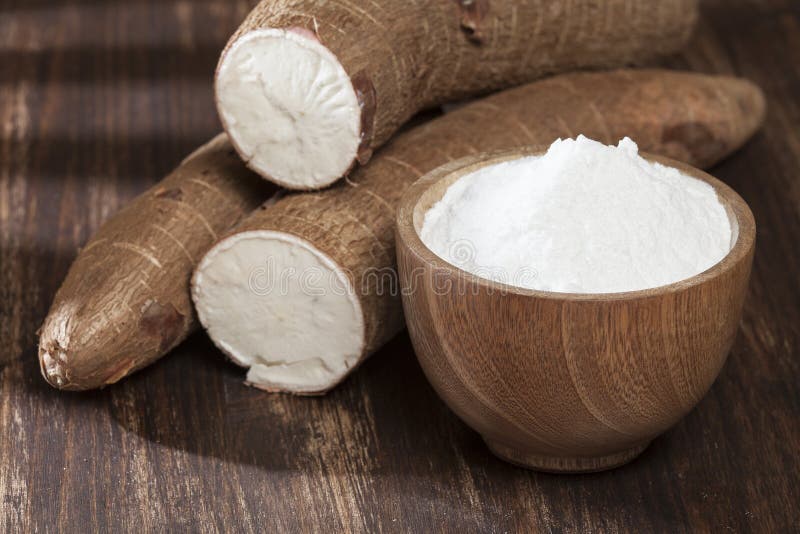 Organic Raw Cassava Root Starch - Manihot Esculenta Stock Photo - Image ...