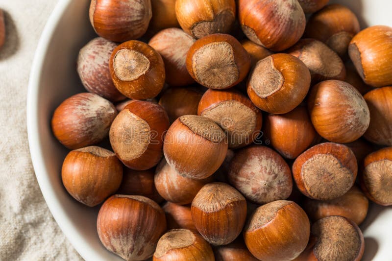 Organic Raw Dry Hazelnuts stock photo. Image of natural - 379736778