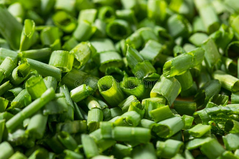 Organic Raw Green Chopped Chives Stock Image - Image of healthy, diet ...
