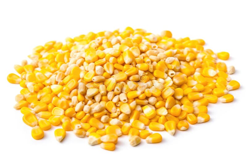 Organic Raw Maize Corn Grain Pile on White Background Isolated ...