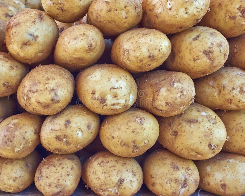 Organic Raw Potatoes Closeup Stock Photo - Image of nature, ripe: 36108774