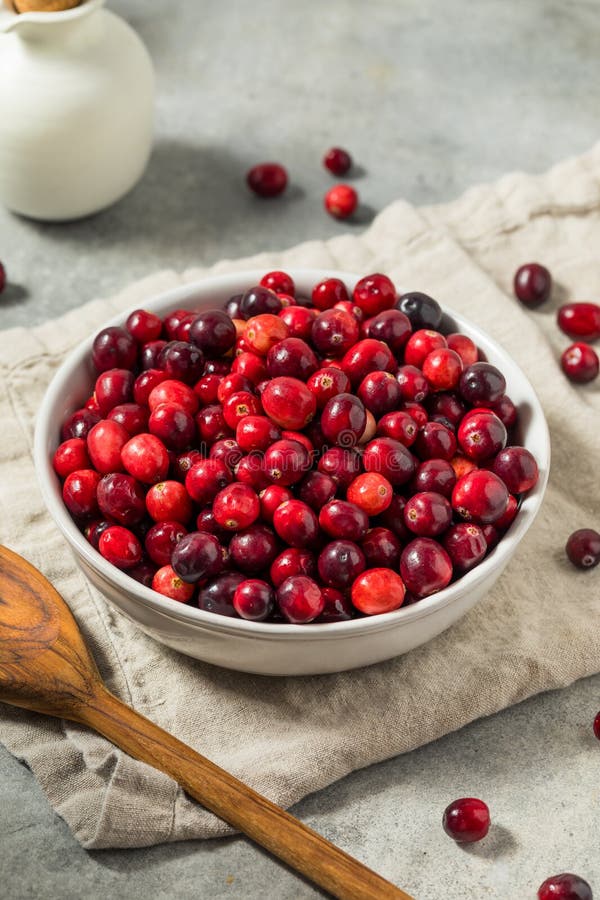 Organic Raw Red Cranberries Stock Image - Image of fruit, cranberries ...