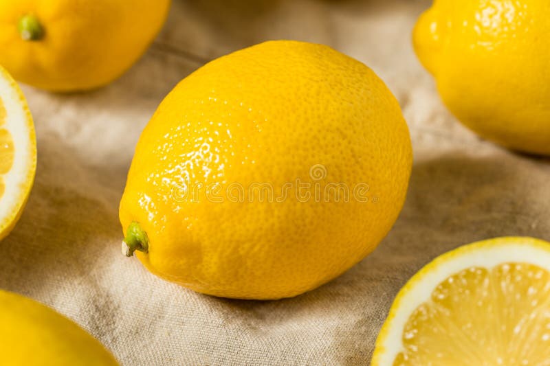 Organic Raw Seedless Yellow Lemons Stock Image - Image of healthy ...