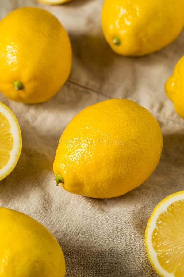 Organic Raw Seedless Yellow Lemons Stock Photo - Image of citrus ...