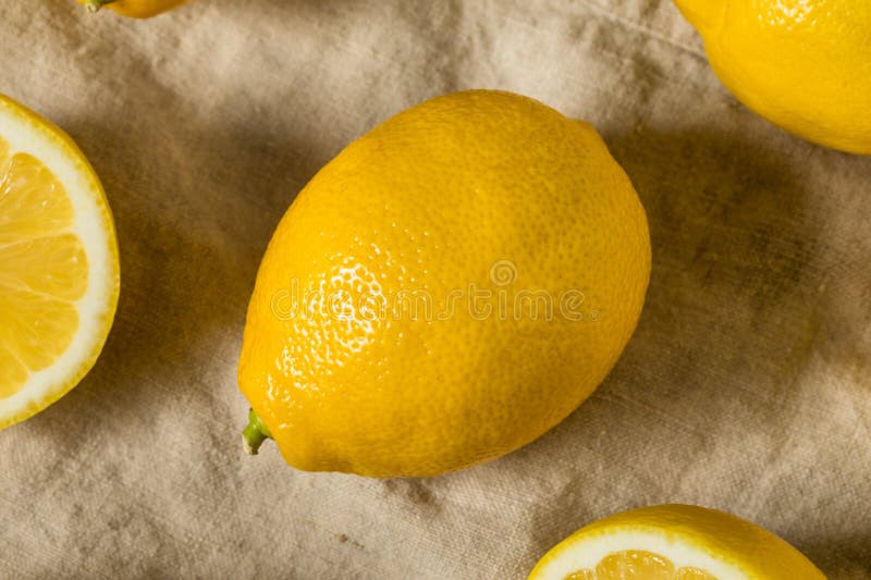 Organic Raw Seedless Yellow Lemons Stock Image - Image of food, organic ...