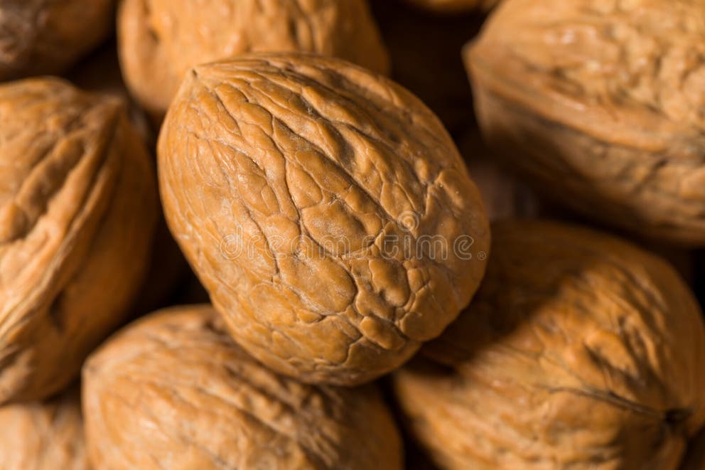 Organic Raw Walnuts in the Shell Stock Photo - Image of vitamin, brown ...