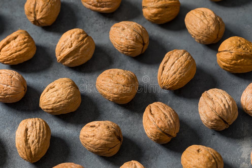 Organic Raw Walnuts in the Shell Stock Photo - Image of vegetarian ...