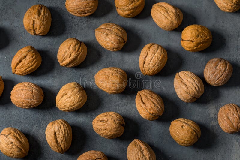 Organic Raw Walnuts in the Shell Stock Image - Image of protein ...