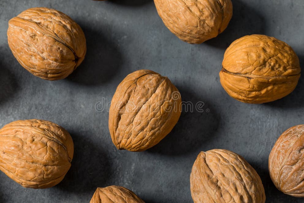 Organic Raw Walnuts in the Shell Stock Photo - Image of fresh, food ...