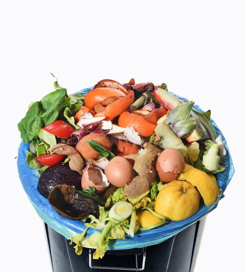 Organic Recycling Container Stock Image - Image of composting, onion ...