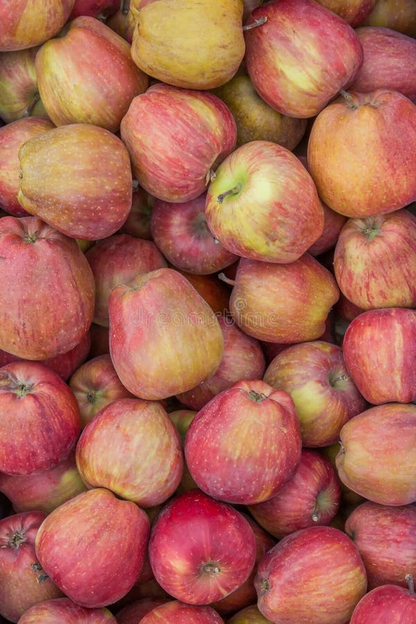 Organic Red Apples Background Stock Photo - Image of healthy, pure ...