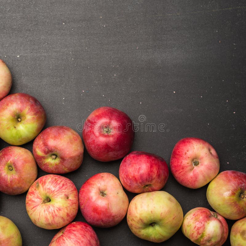 Organic Red Apples stock photo. Image of green, farm - 126309866