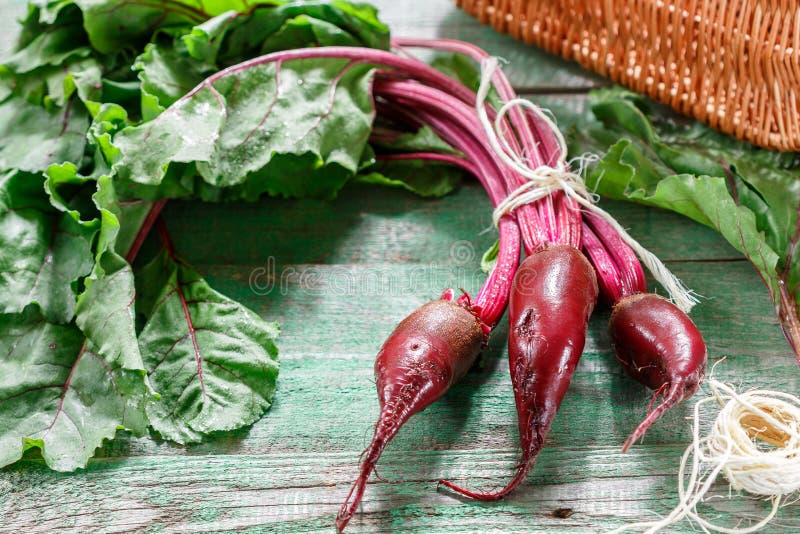 Organic Red Beets Beetroot with Green Leaves Stock Image - Image of ...