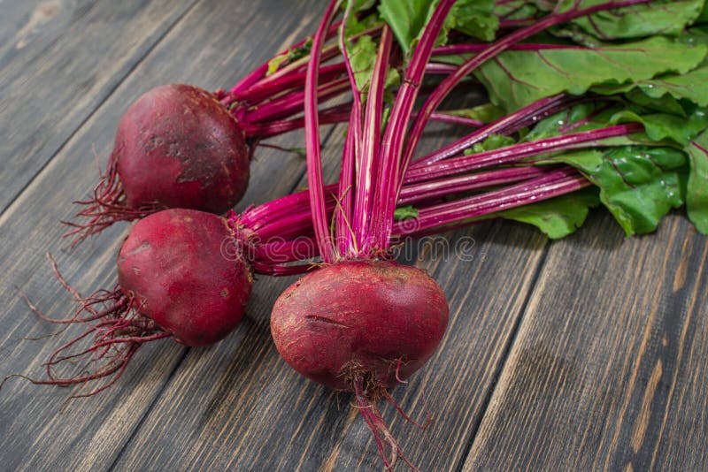 Organic red beets stock image. Image of green, freshness - 73274535