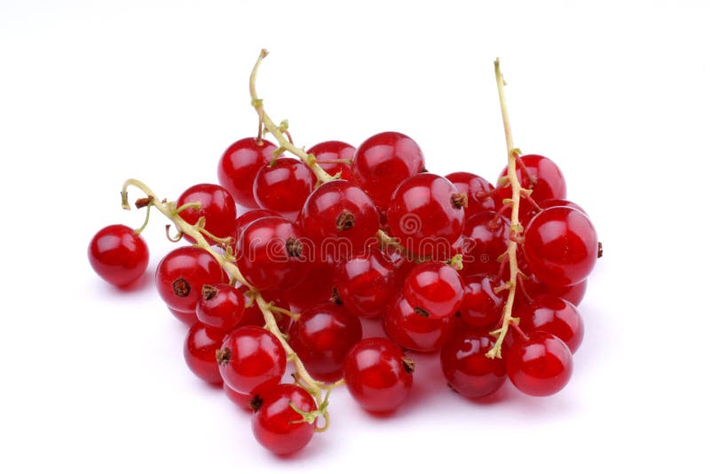 Red currants 1 stock image. Image of fruit, currant, juice - 1288215