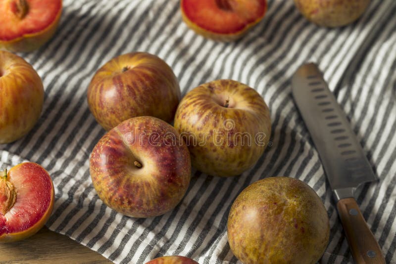 Organic Red Mottled Pluots stock image. Image of plum - 122749657