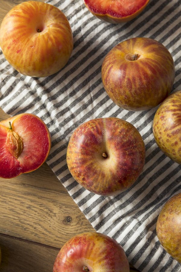 Organic Red Mottled Pluots stock photo. Image of food - 122749852