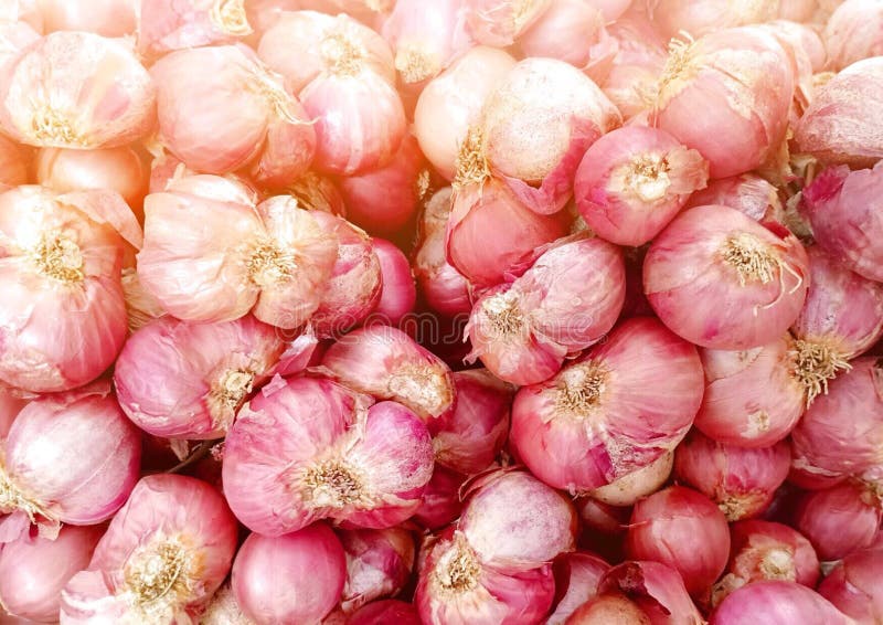 Organic Red Onion in Local Market Stock Photo - Image of plant, spice ...