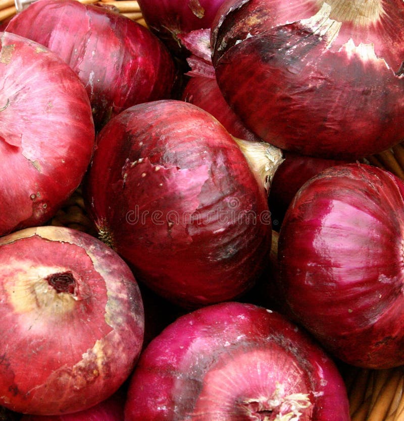 Organic Red Onions stock image. Image of produce, health - 2907913