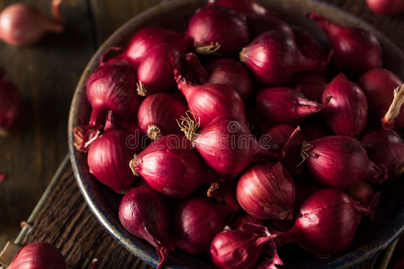Organic Red Pearl Onions stock image. Image of nature - 63186087
