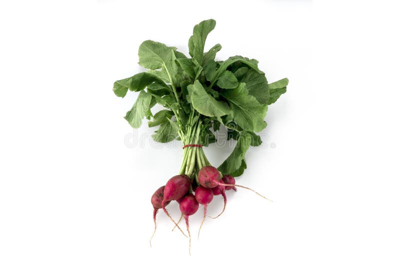 Organic Red Radish with Leaves Stock Image - Image of asian ...