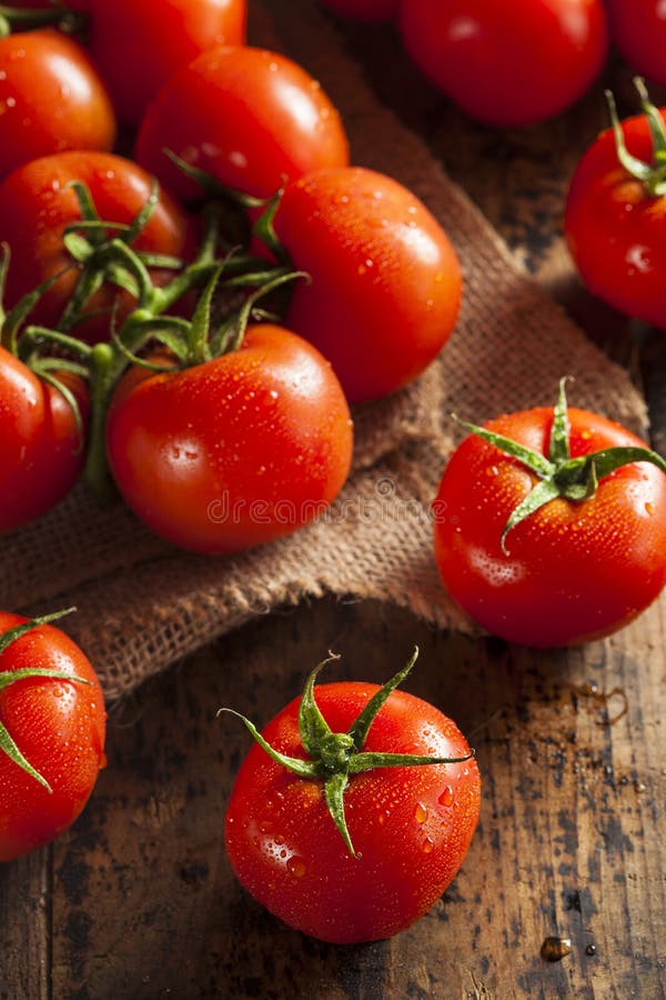 Organic Red Ripe Tomatoes stock image. Image of green - 38789667
