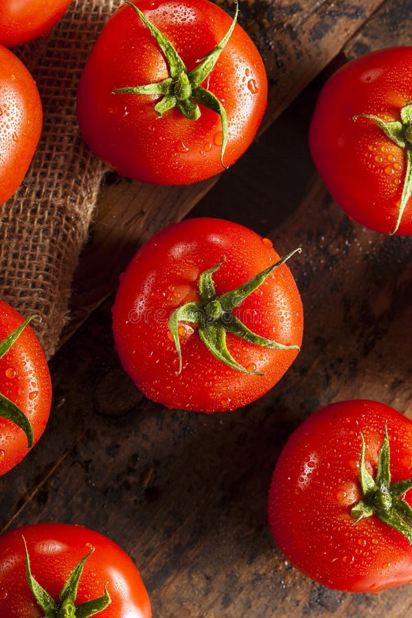 Organic Red Ripe Tomatoes stock image. Image of vitamin - 38789771