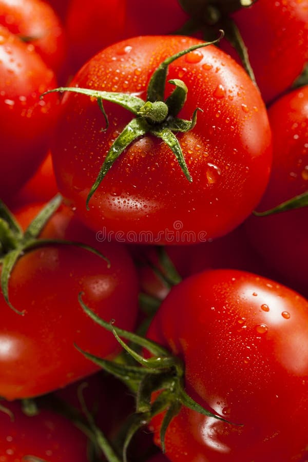 Organic Red Ripe Tomatoes stock image. Image of natural - 38789823