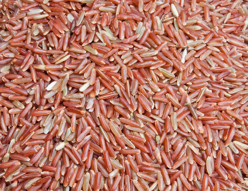 Organic Red Thai Jasmine Rice Stock Image - Image of healthy, soft ...