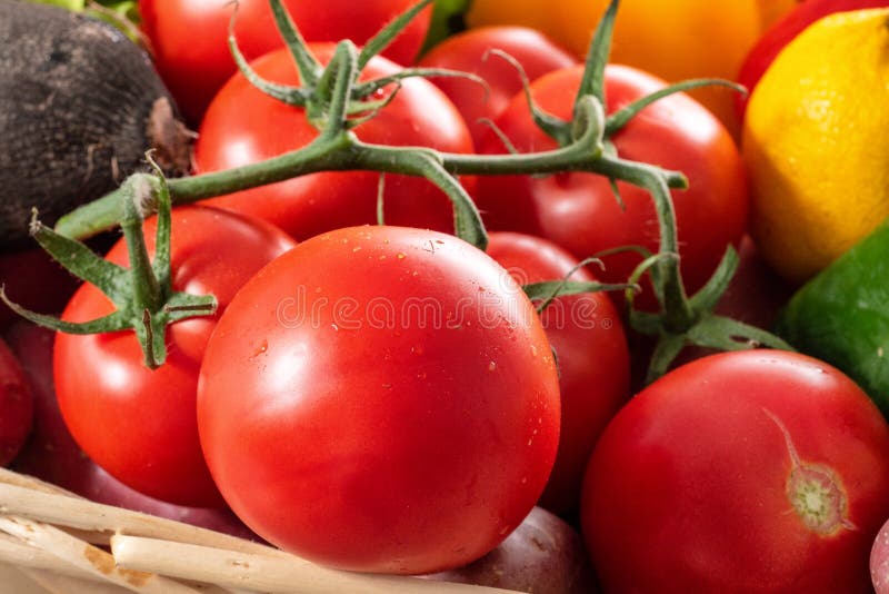 Organic Red Tomatoes in Cluster Stock Image - Image of nature, tomato ...