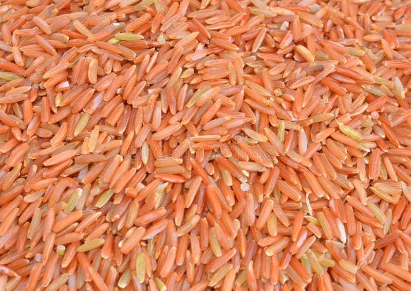 Organic Rice on White Background Basket Stock Image - Image of basket ...