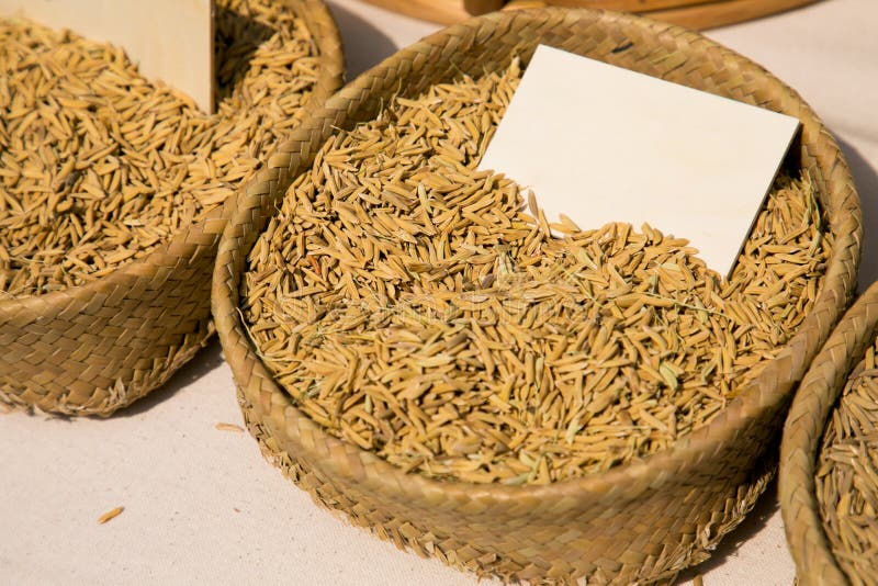 Organic Rice Seed in Weave Basket with Name Tag Stock Photo - Image of ...