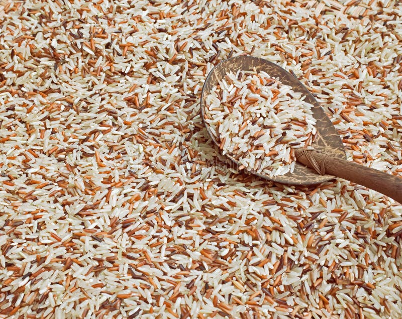 Organic Red Thai Jasmine Rice Stock Image - Image of healthy, soft ...