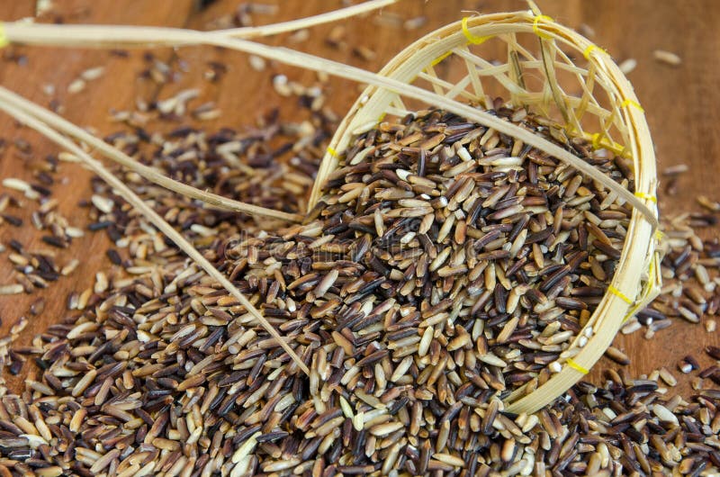 Organic riceberry rice stock photo. Image of brown, health - 63917186